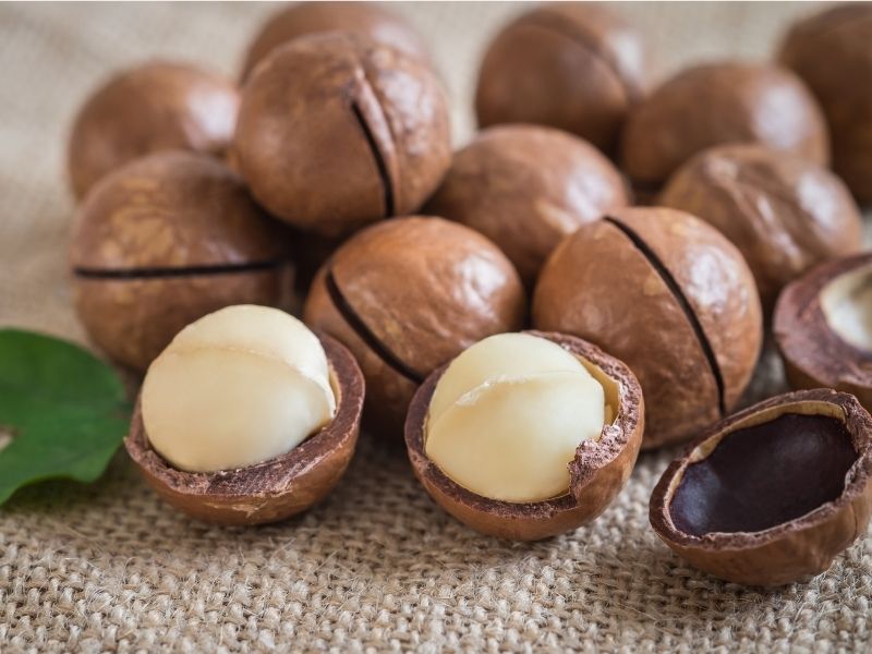 Orzechy makadamia właściwości, wartości odżywcze | Gotaste