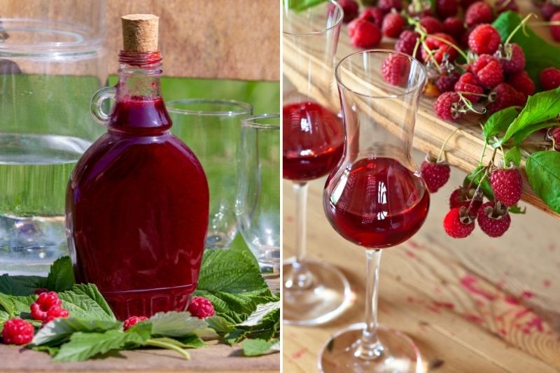 Maliny i syrop z malin - właściwości i działanie - Go4taste